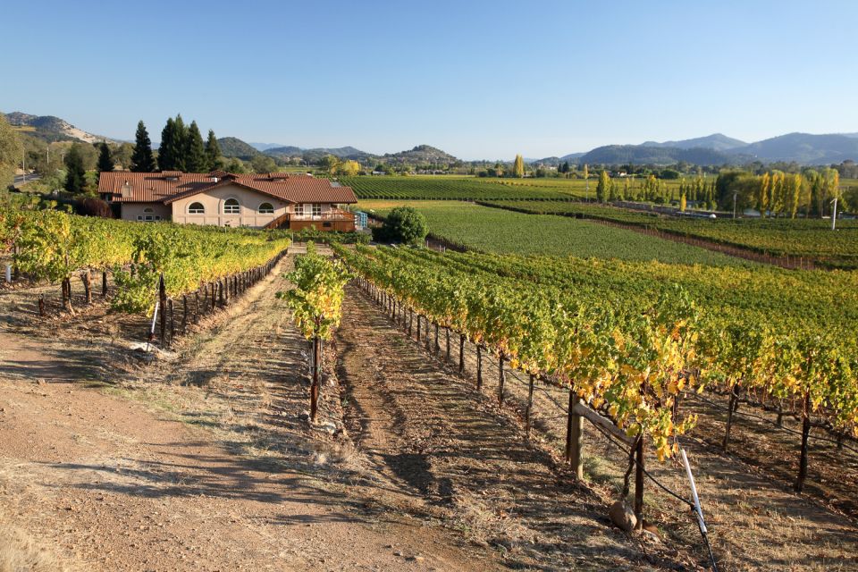 From San Francisco: Napa Valley Private Tour - The Flexibility and Comfort of a Private Napa Tour
