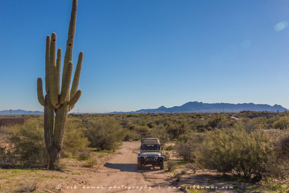 From Scottsdale: Sonoran Desert & Tonto National Forest Trip - Who Should Consider This Tour?