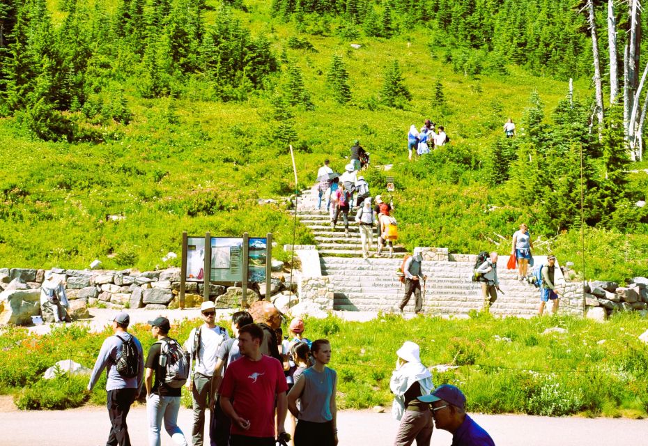 From Seattle: Customized Mount Rainier Tour - The Experience: What Do Travelers Say?