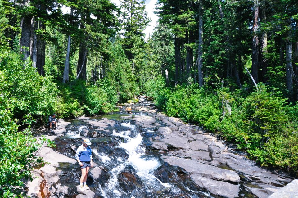 From Seattle: Customized Mount Rainier Tour - Final Thoughts