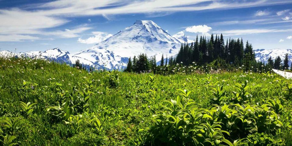 From Seattle - Enchanting Mt Baker & Cascade mountains tours - Exploring the Enchanting Mt Baker & Cascade Mountains Tour: A Complete Guide
