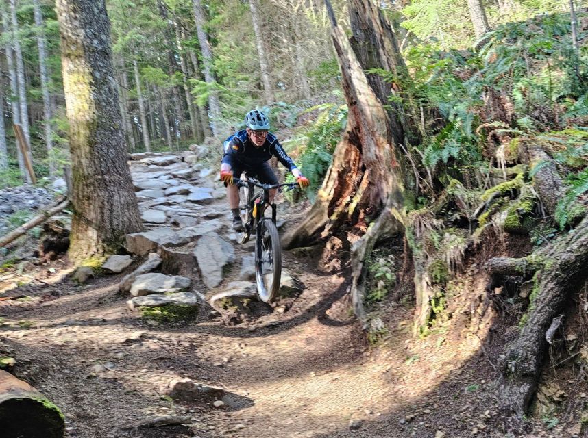From Seattle: Full Day All-Inclusive Mountain Bike Tour - What Makes This Tour Stand Out?