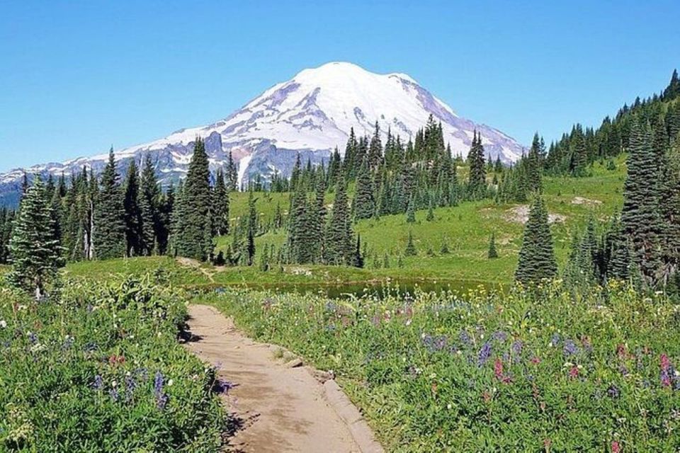 From Seattle: Full-Day Mt Rainier National Park Tour - Key Points