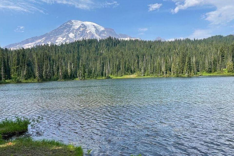From Seattle: Full-Day Mt Rainier National Park Tour - The Highlights: Why This Tour Stands Out