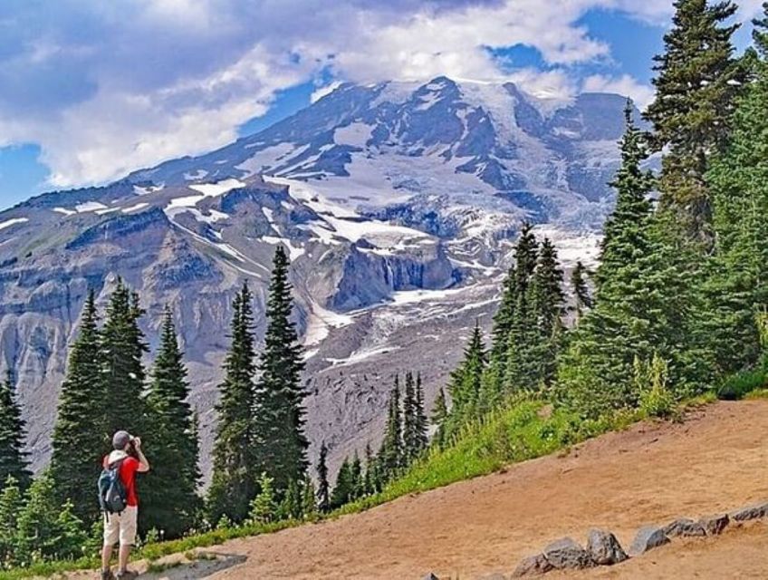 From Seattle: Full-Day Mt Rainier National Park Tour - Vehicle, Timing, and Comfort