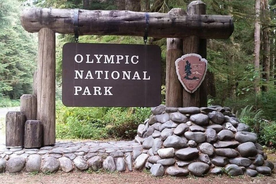 From Seattle: Olympic National Park Full Day Tour - Transport, Timing, and Group Size