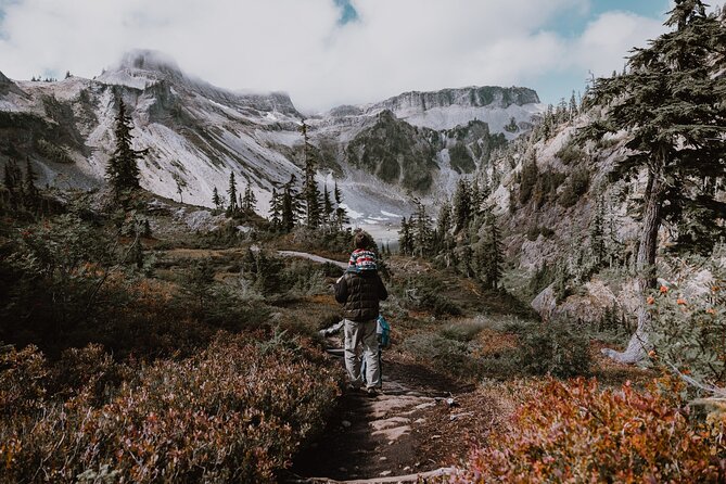From Seattle - Private Mt Baker and Cascades Tour in SUV - The Sum Up