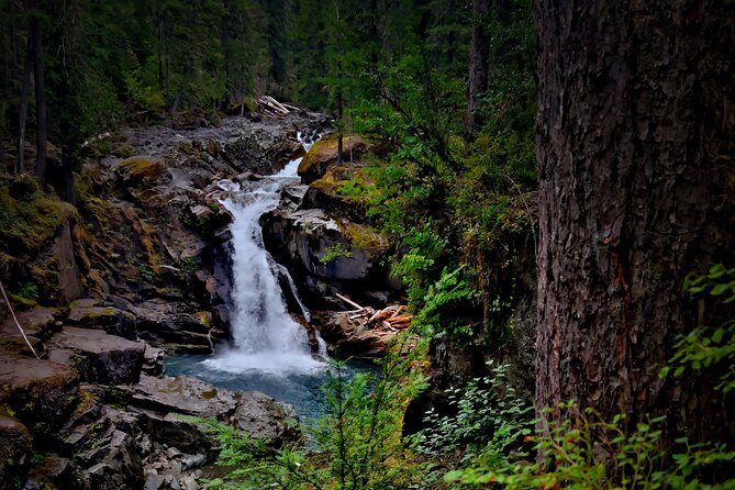 From Seattle: Private Tour to Mt. Rainier - Exploring the Mt. Rainier Private Tour