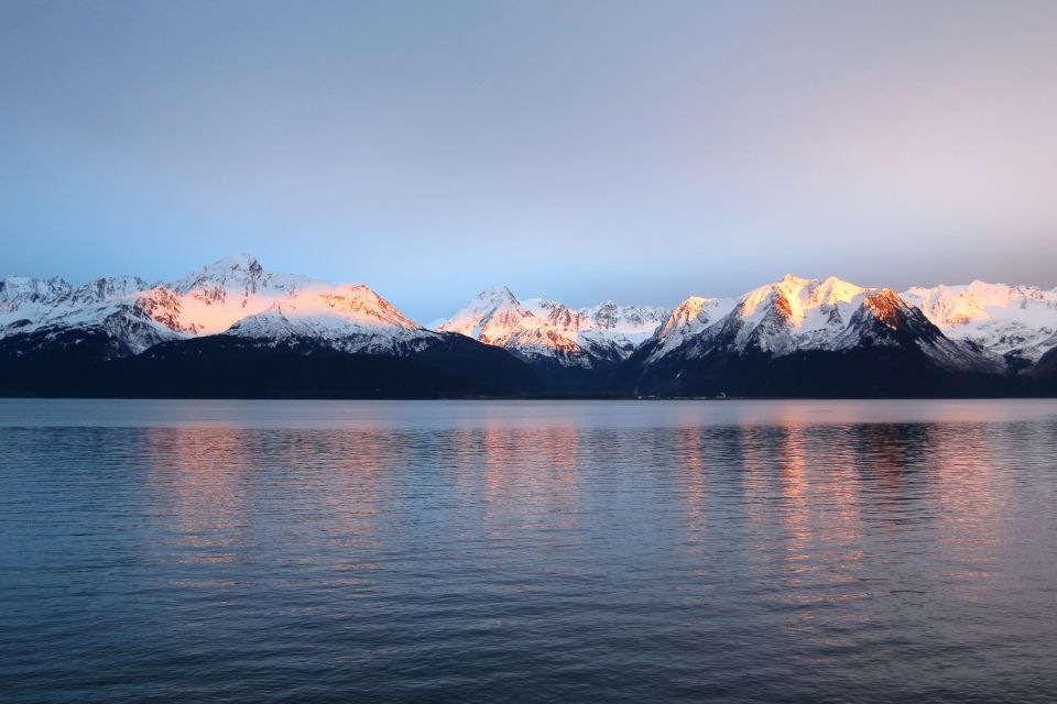 From Seward: Half-Day Resurrection Bay Wildlife Cruise Tour