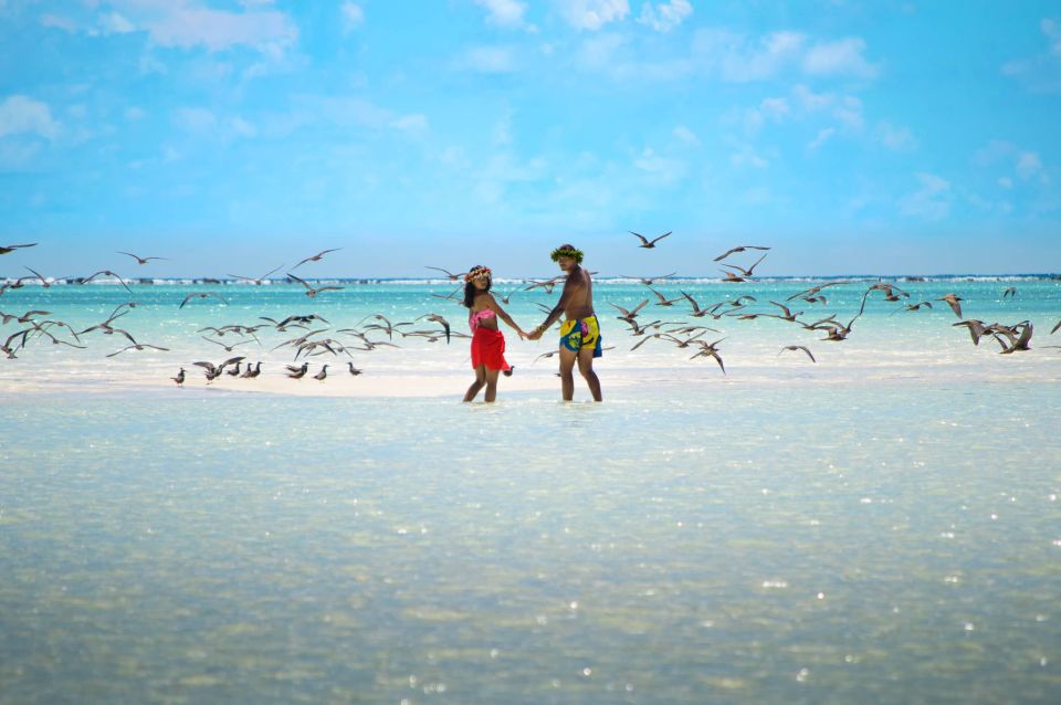 From Tahiti: Tetiaroa Island Tour by Sailing Catamaran - Key Points