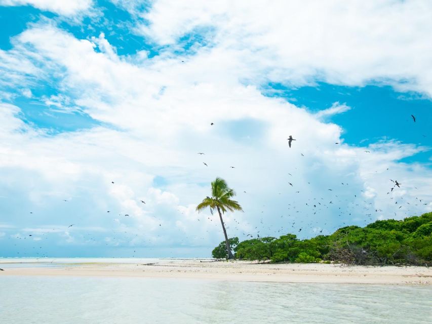 From Tahiti: Tetiaroa Island Tour by Sailing Catamaran - An In-Depth Look at the Tetiaroa Catamaran Tour