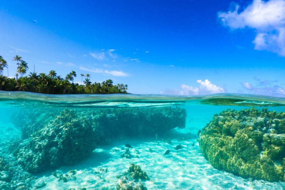 From Tahiti: Tetiaroa Island Tour by Sailing Catamaran - Practical Details and Tips