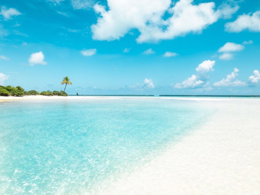 From Tahiti: Tetiaroa Island Tour by Sailing Catamaran - Final Thoughts