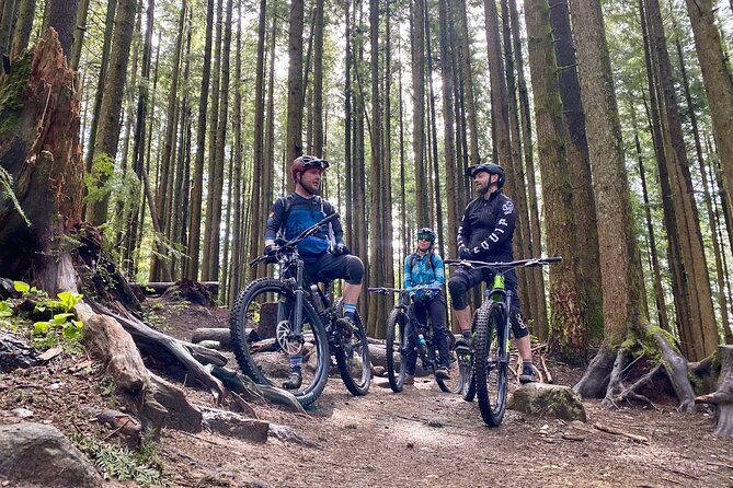 Full Day All Inclusive Mountain Bike Tour from Seattle - Who is This Tour Best For?