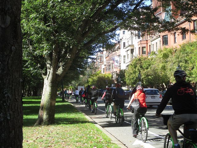 Full Day Bike Rental