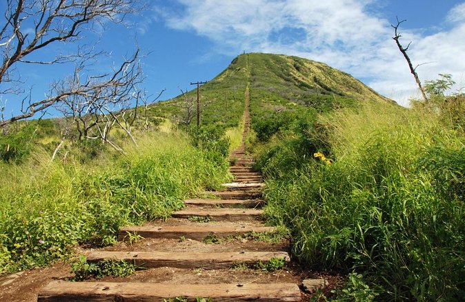 Full-Day Guided Adventure in Koko Head Stairs and Southeast O'ahu - Key Points