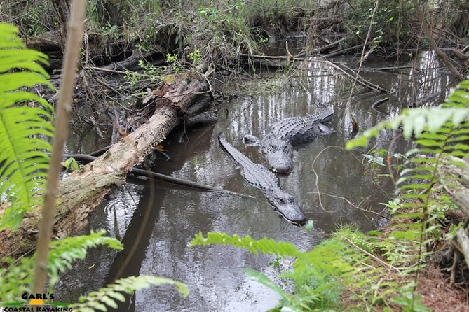 Full-Day Kayak Adventure in the Everglades