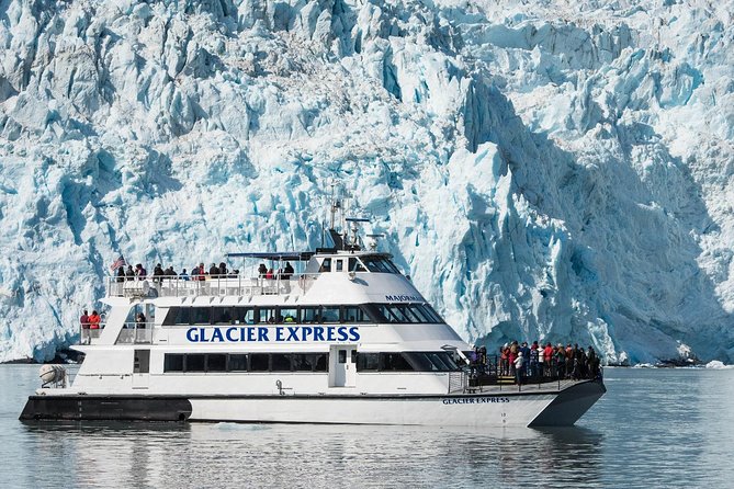 Full-Day Kenai Fjords National Park Cruise