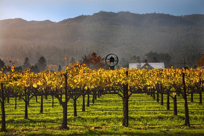 Full-Day Private Amador County Wine Tour from San Francisco - Why This Tour Stands Out