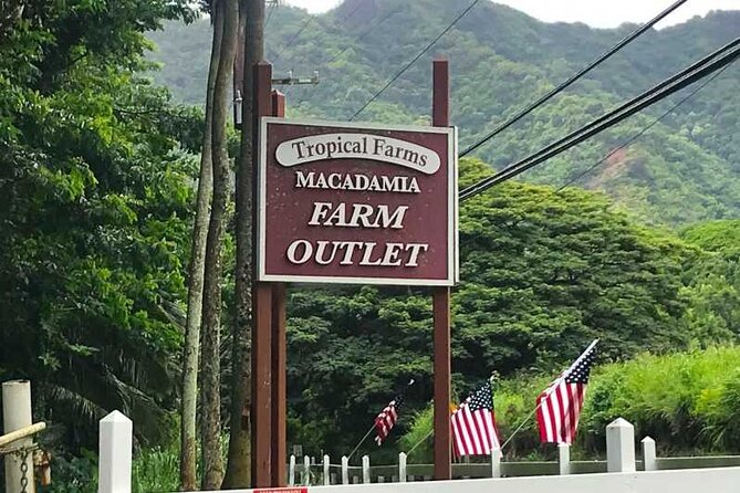 Full Day Private Hawaiian Culture Tour with Guide - An In-Depth Look at the Hawaii Cultural Day Tour