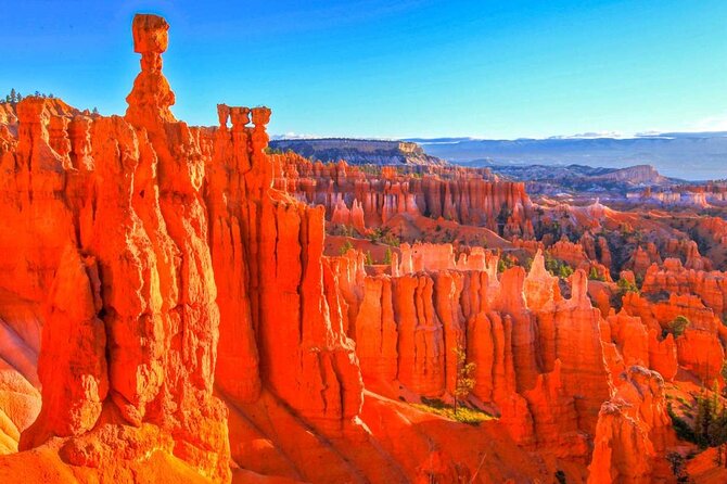 Full-Day Small Group Tour in Bryce Canyon - Real Traveler Insights