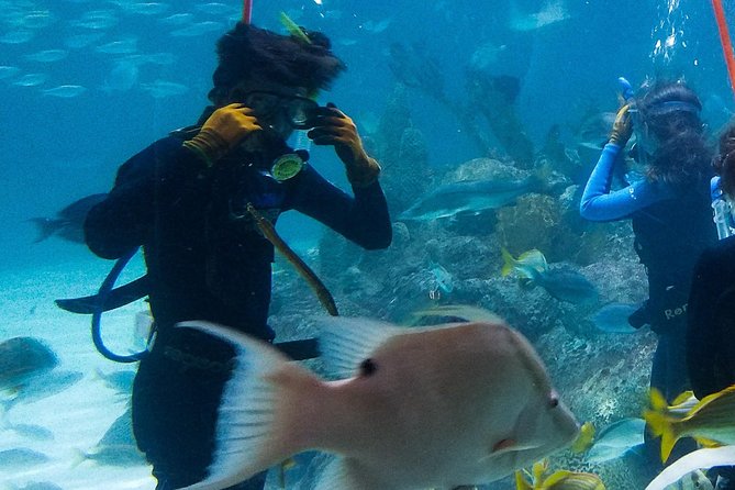 Full-Day Tour of Florida Keys Including Aquarium Encounters from Key West - Why This Tour Stands Out