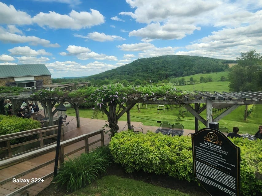 Full Day Winery Tour from Metro DC & Leesburg - 3 Wineries - Exploring the Full Day Winery Tour from Metro DC & Leesburg: A Balanced Look