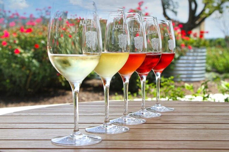 Funk Zone Wine & Food Tour - Who Will Love This Tour?