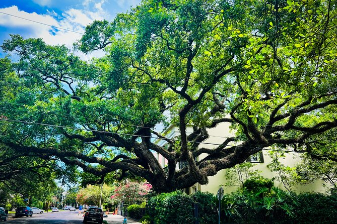 Garden District Walking Tour - FAQs