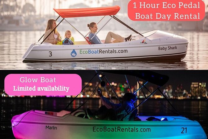 Glow Nightime Pedal Boat Rental in San Diego Bay - Key Points