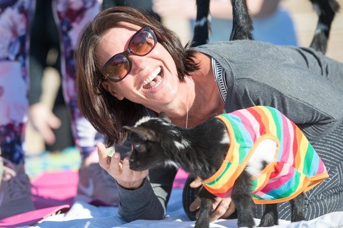 Goat and Alpaca Yoga in Arizona - The Itinerary: What to Expect