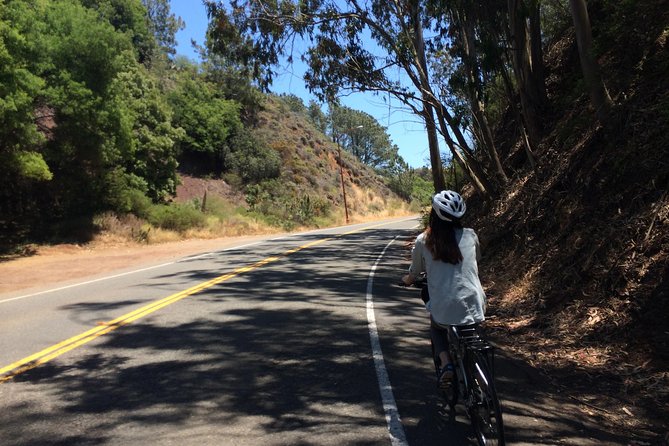 Golden Gate Bridge Bike Rentals - Very Close To The Bridge! - Who Would Love This Experience?