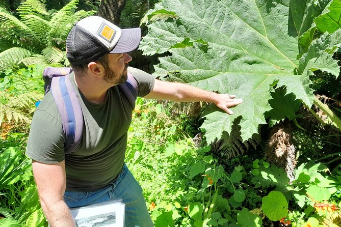 Golden Gate Park's Hidden Gems, Highlights and History - Who Will Love This Tour?