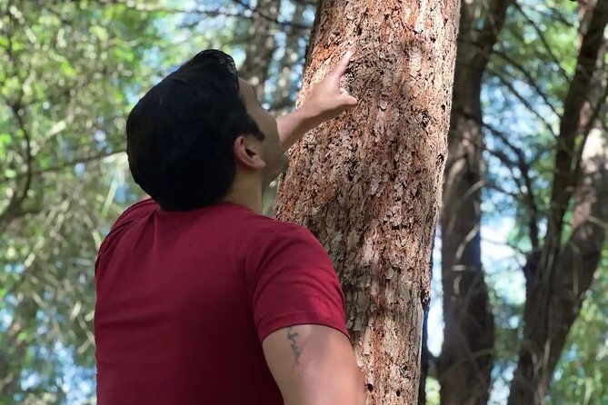 Golden Gate Park's Hidden Gems, Highlights and History - The Sum Up