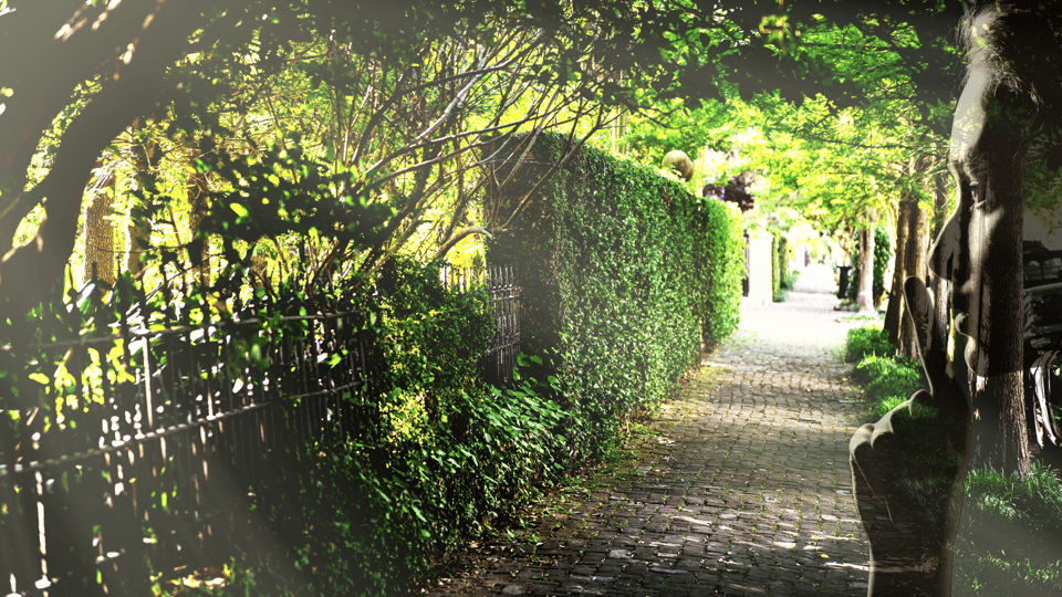 Gossip & Grandeur: A Stroll Through NOLAs Garden District - Who Will Love This Tour?