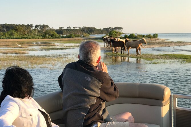Grand Boat Tour around Chincoteague and Assateague Islands