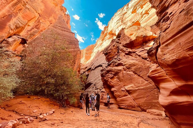Grand Canyon South Rim, Antelope Canyon and Horseshoe Bend Tour - Authentic Experiences from Reviewers