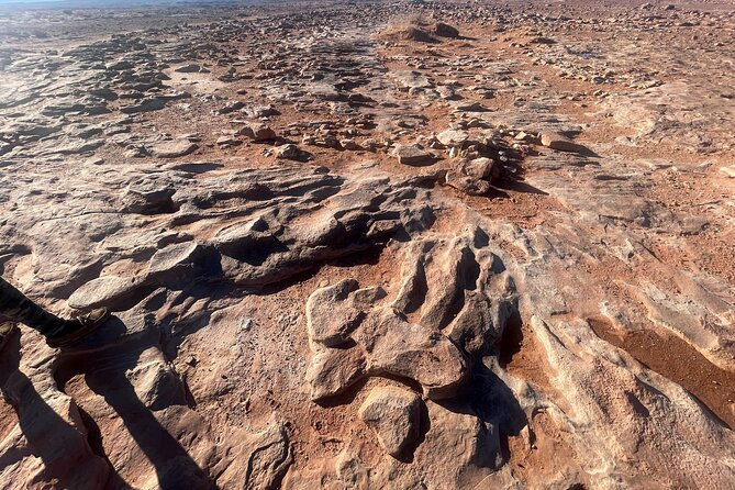 Grand Canyon South Rim, Antelope Canyon and Horseshoe Bend Tour - The Value of This Tour