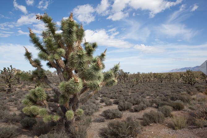 Grand Canyon Tour in Spanish - Considerations and Tips