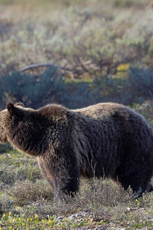 Grand Teton: Private Guided Tour (Sunset) - Key Points