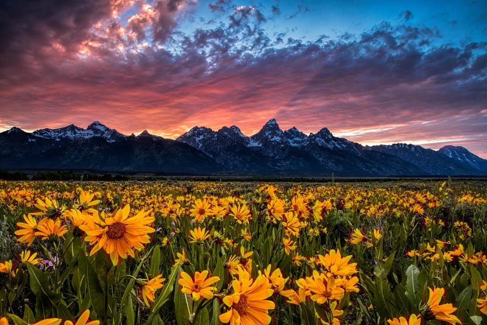 Grand Teton: Private Guided Tour (Sunset) - Why This Tour Stands Out