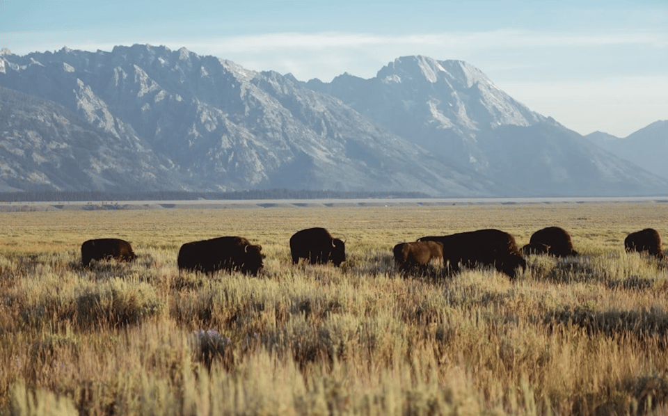 Grand Teton: Private Guided Tour (Sunset) - Considerations