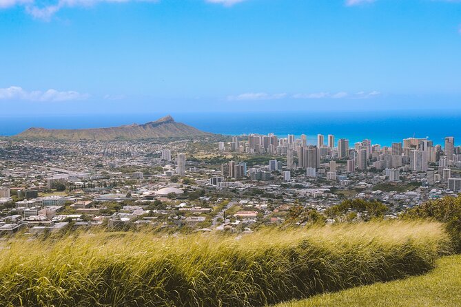 Grand Tour Around Oahu- Swim at Waterfall & Turtle Beach - What to Expect from the Tour