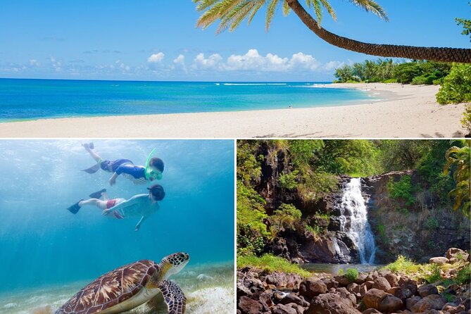 Grand Tour Around Oahu- Swim at Waterfall & Turtle Beach - Who Is This Tour Best For?