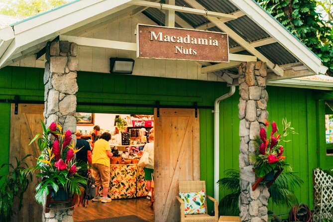 Grand Tour Around Oahu- Swim at Waterfall & Turtle Beach - Final Thoughts