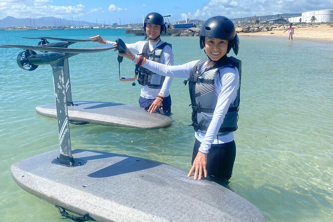 Group of 2 + mid length eFoil experience Honolulu HAWAII - How the Tour Is Structured