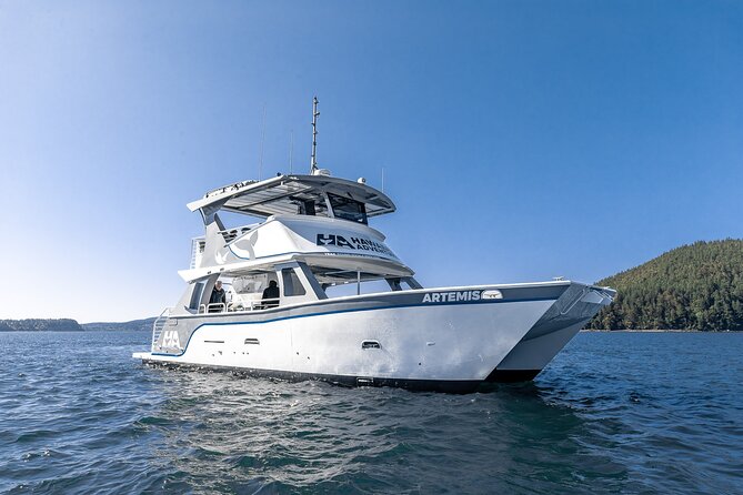 Guaranteed Dolphin and Whale Watch Tour in Kona