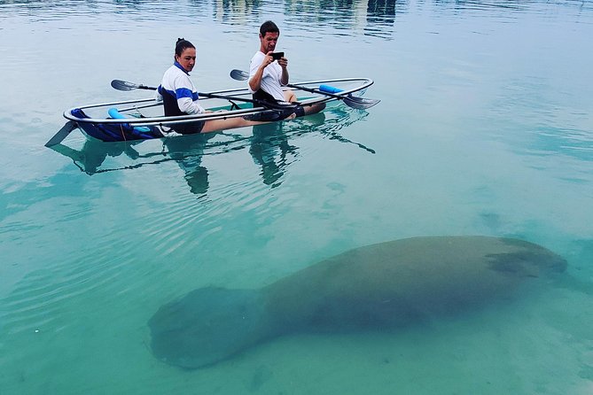 Guided Clear Kayak Eco-Tour of Jupiter - The Experience in Depth