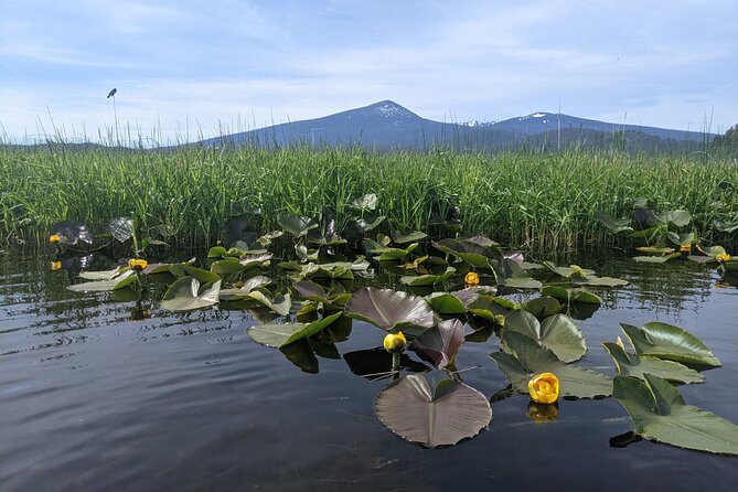Guided Half-Day Kayak Tour