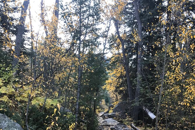 Guided Hiking Experience of Iconic Mirror Lake & Lone Eagle Peak - Practical Tips for Your Hike